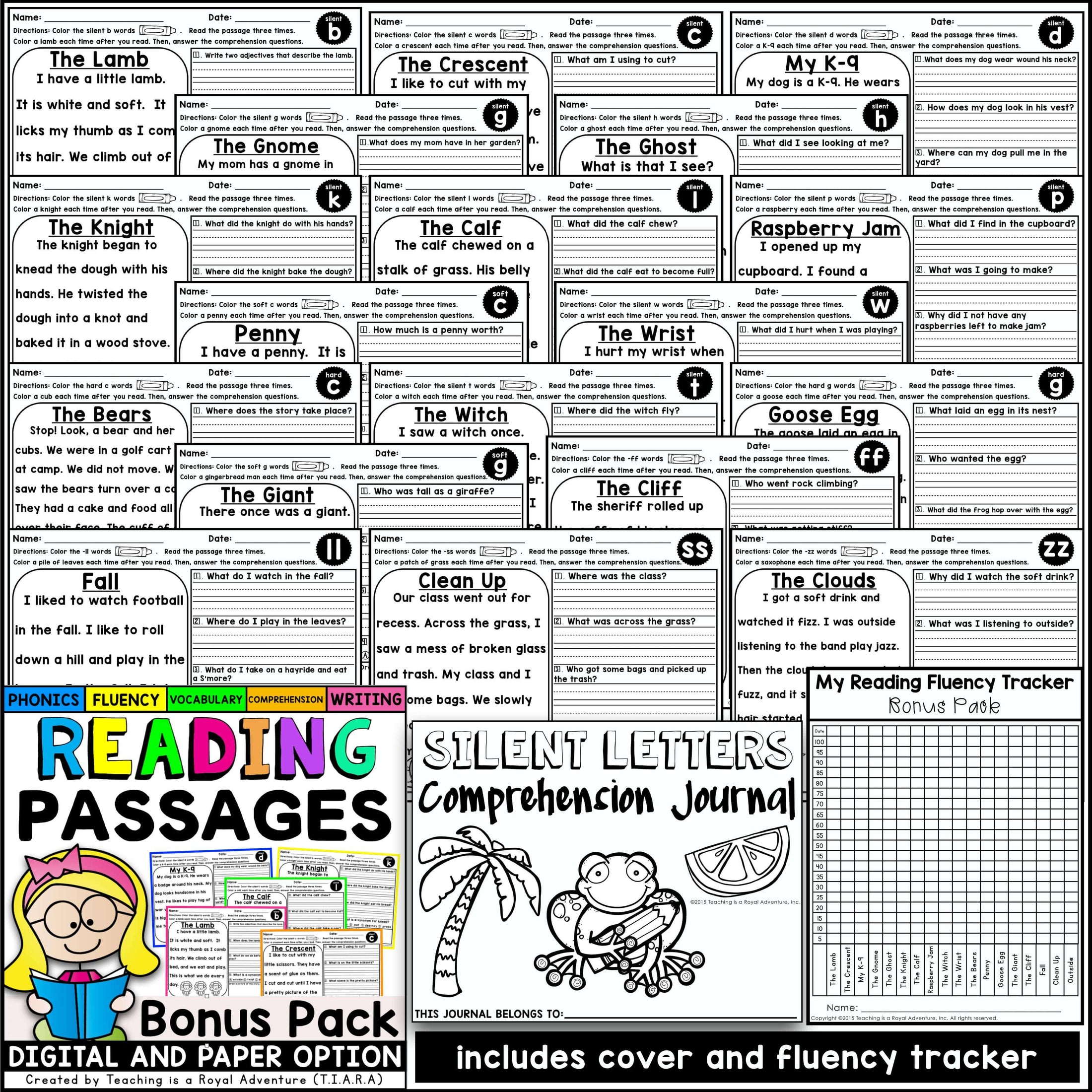 Level 1 - Basic Tier – Teaching is a Royal Adventure